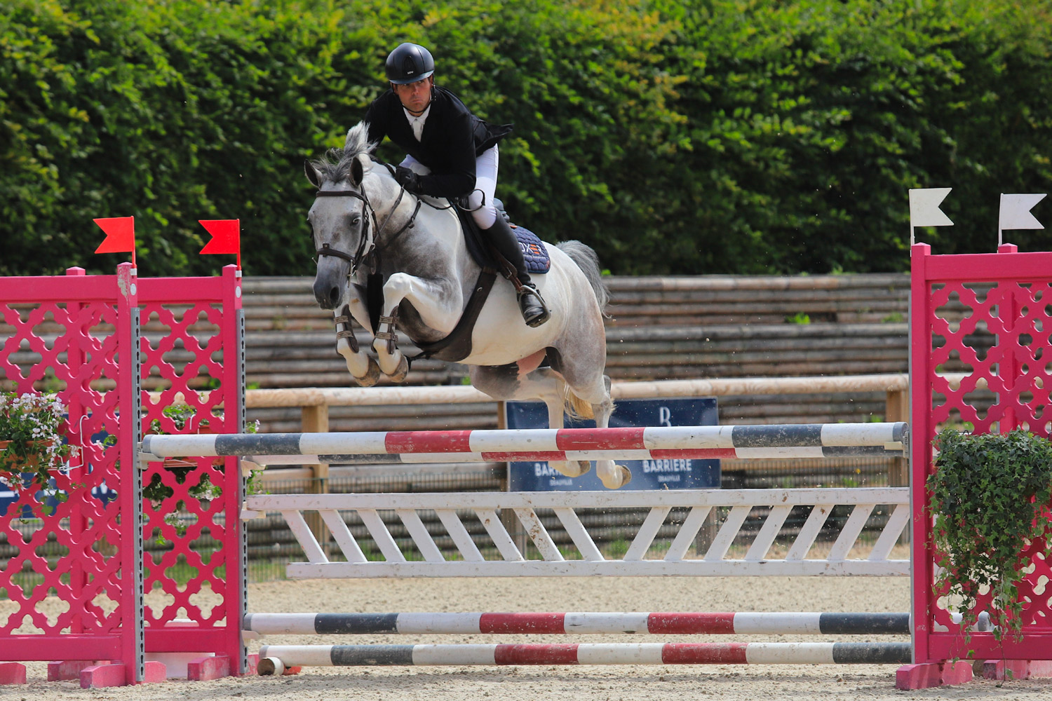 TOP 100 SHF des cavaliers de jeunes poneys CSO - Organisation Normandie ...