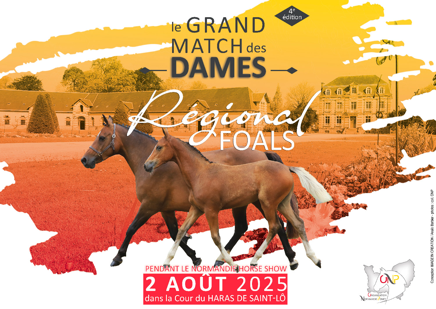 NHS 2025 : le Grand match des dames - Organisation Normandie Poney